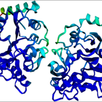 Demystifying Deep Learning Applications in Protein Research | Dev News